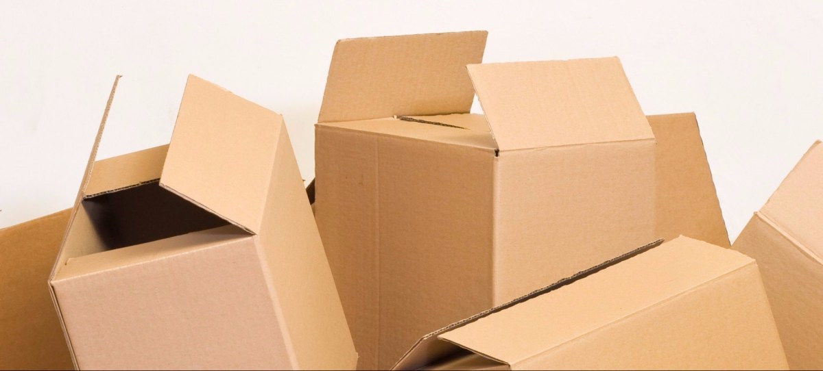 Back in the Box – My World With Words