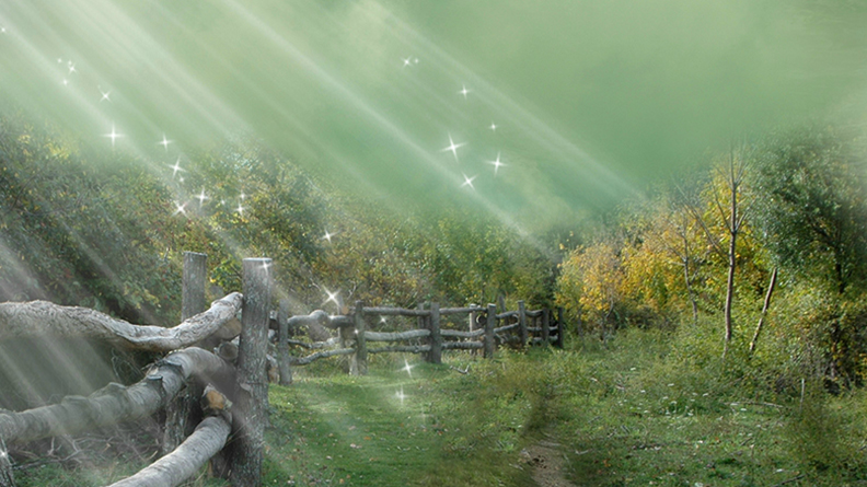 The Ideal(istic) Adult – My World With Words