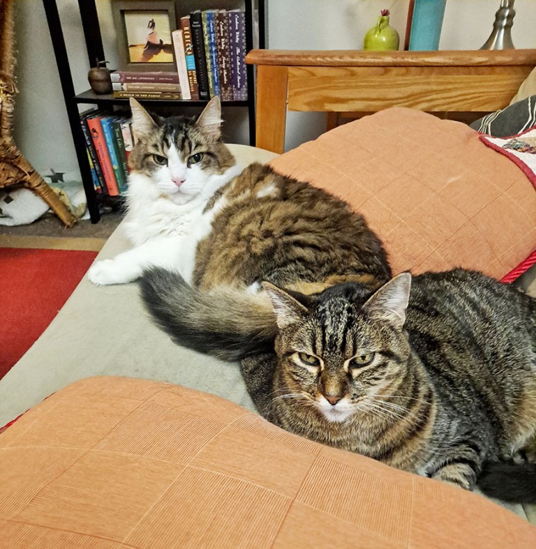 Lookin’ Serious – My World With Words